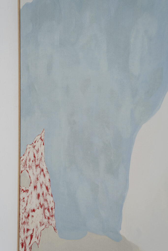 Alba Suau en tonos tenues, deambular antes de pintar