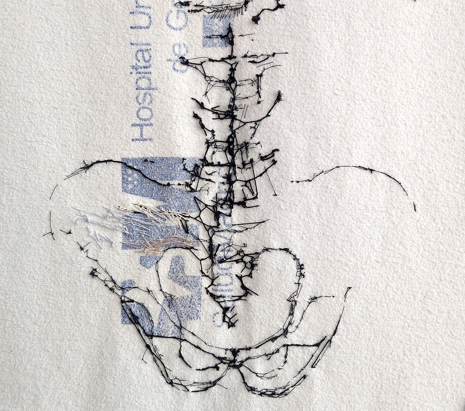 Bárbara G.F. Muriel: bordando lecturas del cuerpo frágil