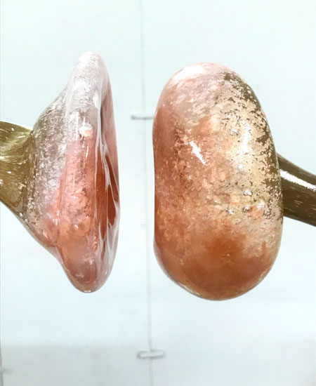 Carlos Monleón, y sus sensaciones