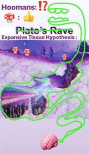 Carlos Monleón, y sus sensaciones