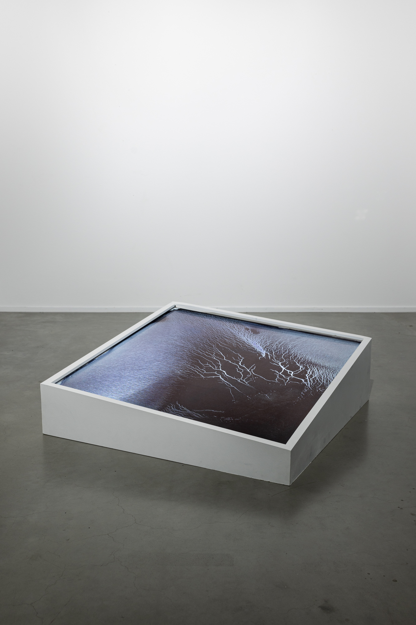 Juan Couder en Fichados, la fotografía expandida y vulnerable