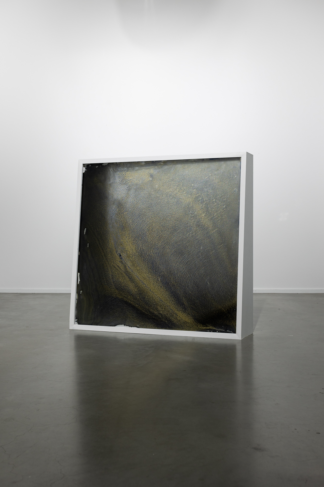 Juan Couder en Fichados, la fotografía expandida y vulnerable