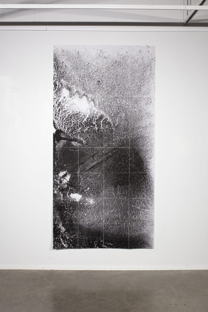 Juan Couder en Fichados, la fotografía expandida y vulnerable