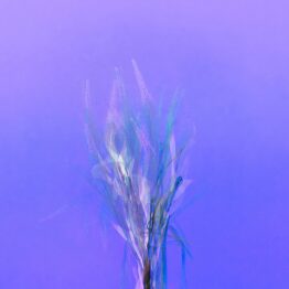 Fichamos a Rocío Cuevas: la fotografía y desaparecer de sí