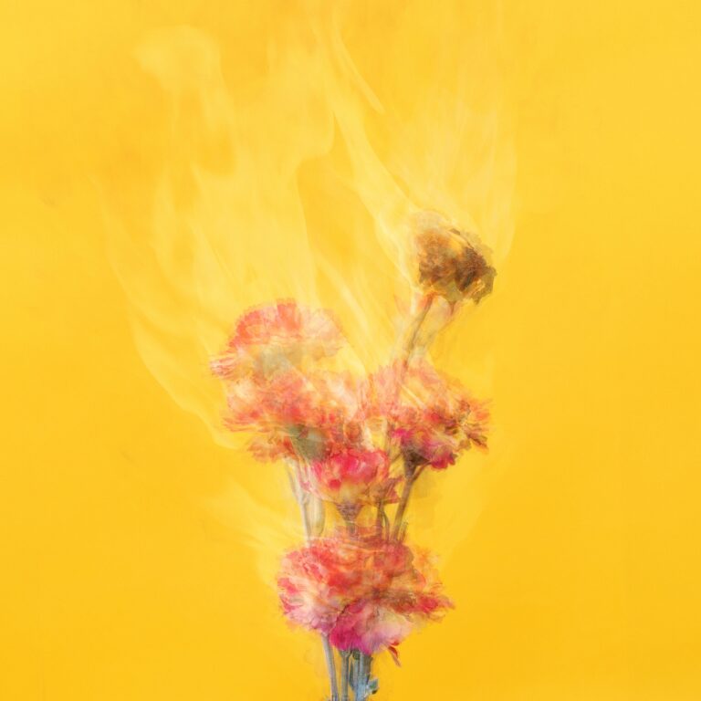 Fichamos a Rocío Cuevas: la fotografía y desaparecer de sí