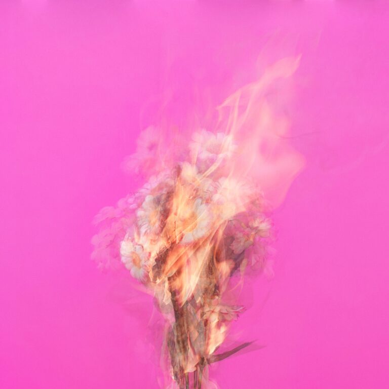 Fichamos a Rocío Cuevas: la fotografía y desaparecer de sí