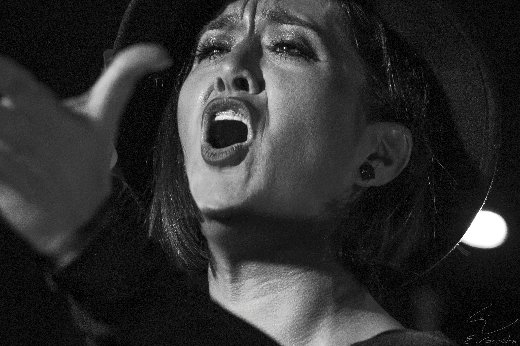 MusaE: los museos, también templos musicales