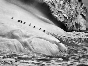 La Génesis de Salgado