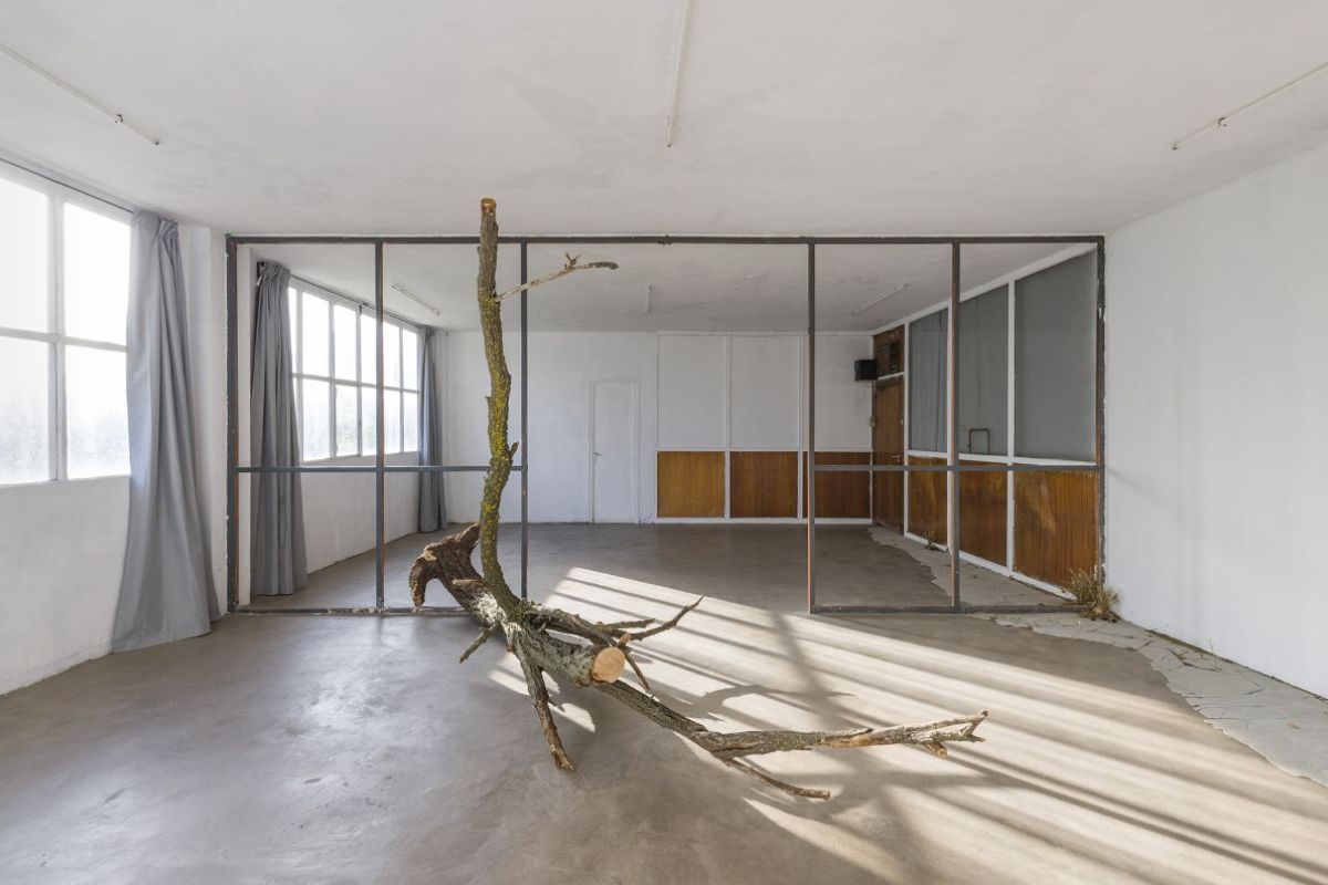 El artista mexicano Samuel Guerrero, Premio Art Nou 2023