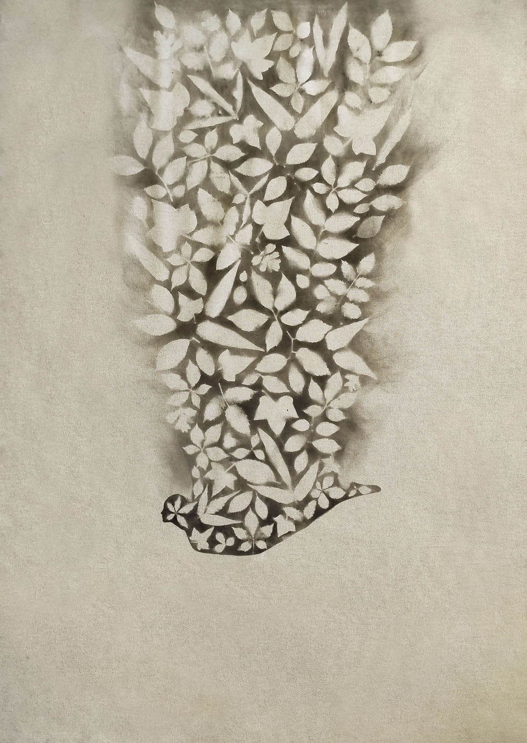 La voz del bosque según David Vimar, ahora en Toledo