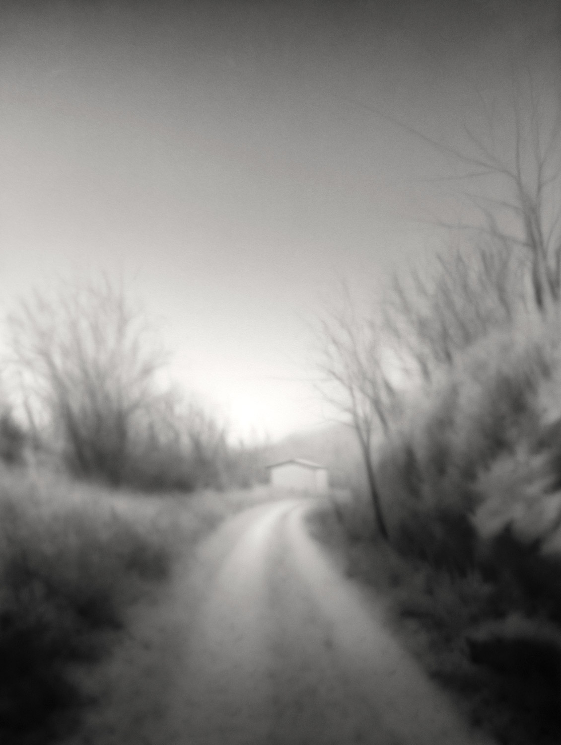 Hugo Alonso expone de nuevo en Alzueta Gallery