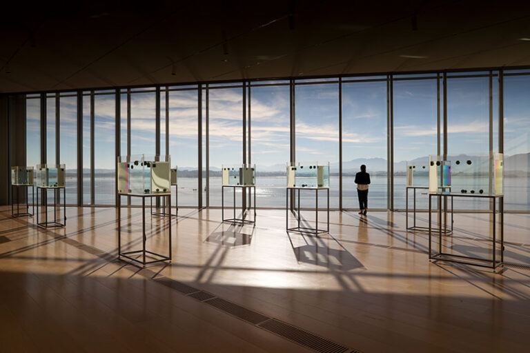 Shimabuku, el artista que hace volar a las personas y jugar a los pulpos