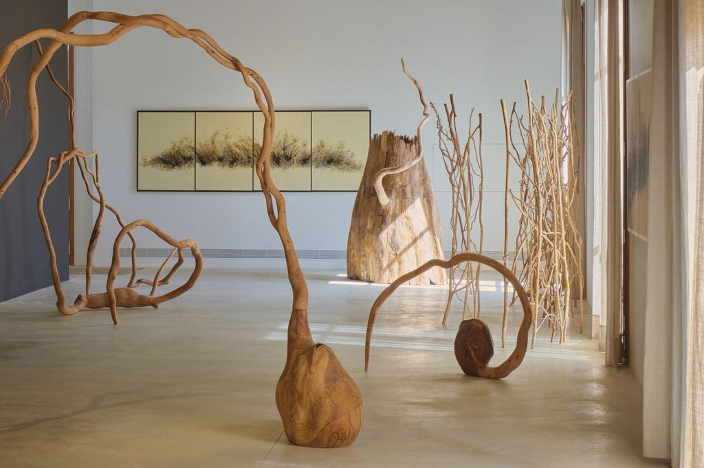 Hiroshi Kitamura en la Fundación NUMA, ayudante de la naturaleza