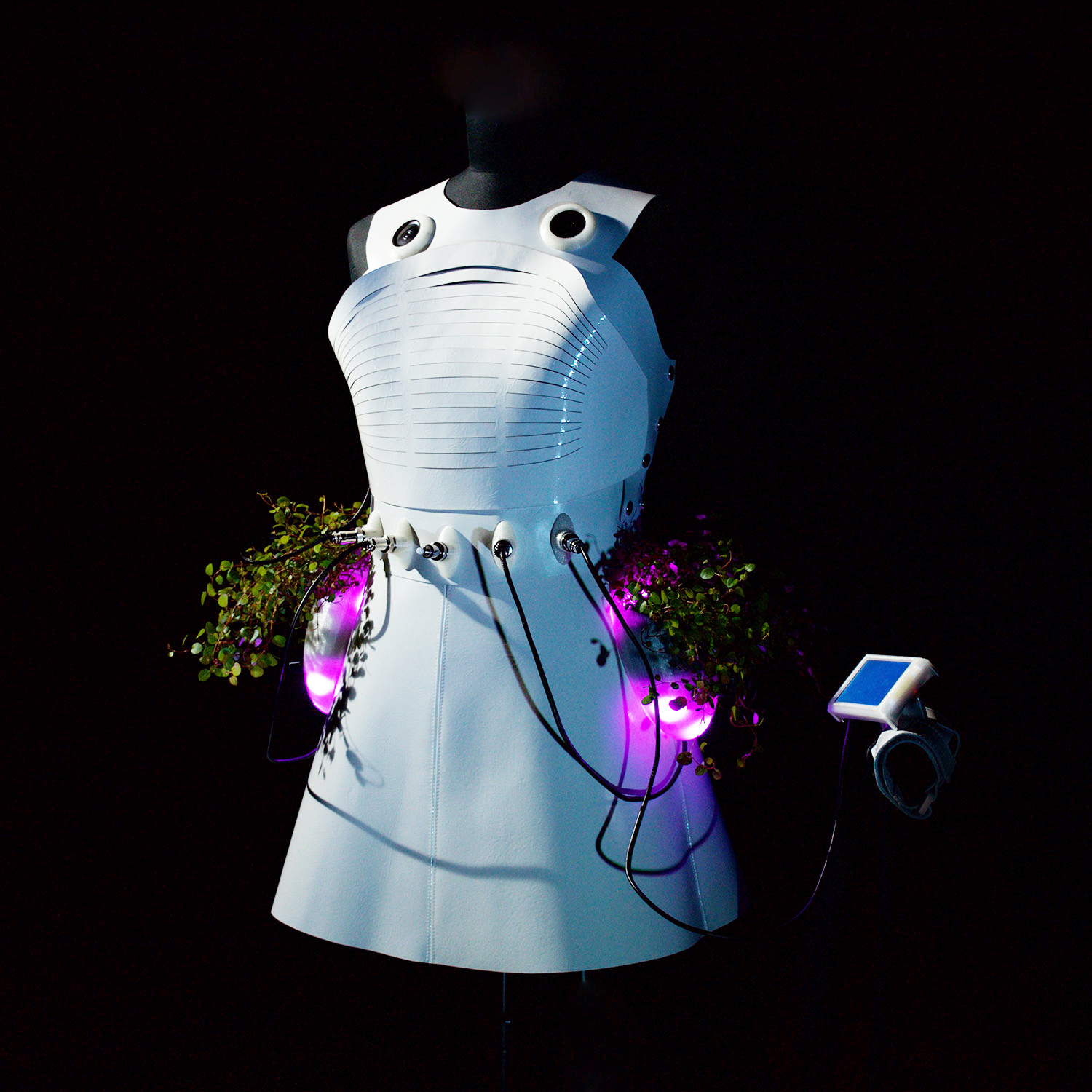 María Castellanos y Alberto Valverde, Premio Vertigo Starts