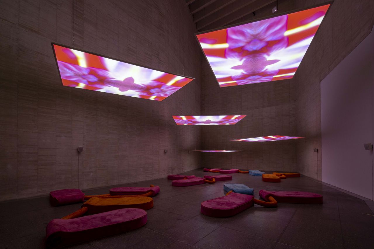 Homo Sapiens sapiens 5 alas: Pipilotti Rist reabre la sala 6 del MUSAC