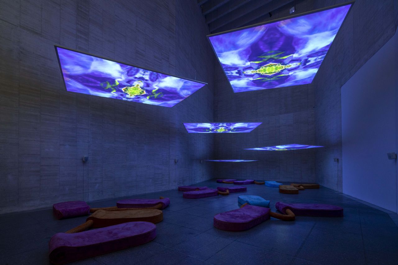 Homo Sapiens sapiens 5 alas: Pipilotti Rist reabre la sala 6 del MUSAC