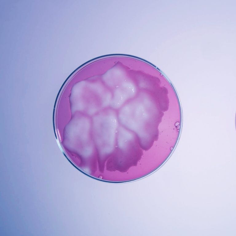 LABoral convoca las residencias Reto local Studiotopia