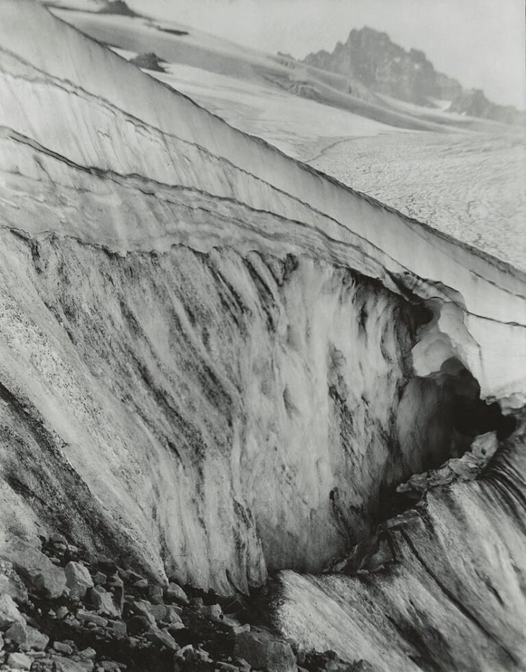 Los inicios de Imogen Cunningham: del pictorialismo a la visión propia