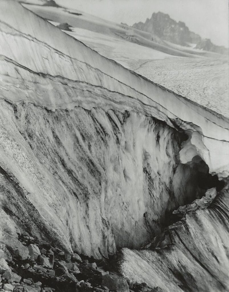 Los inicios de Imogen Cunningham: del pictorialismo a la visión propia