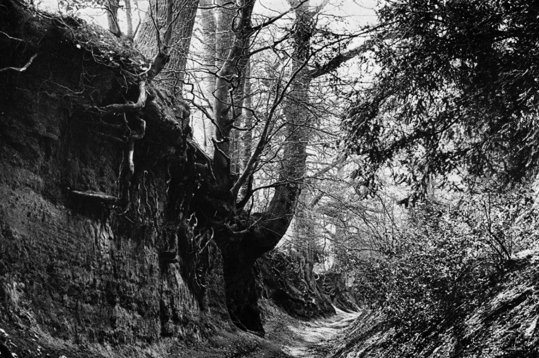 Hamish Fulton y la vida propia del caminar