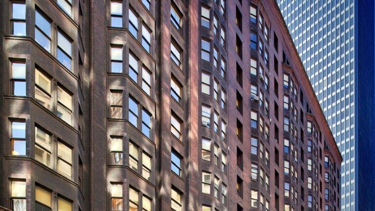 Burnham & Root: Chicago de hierro y cristal